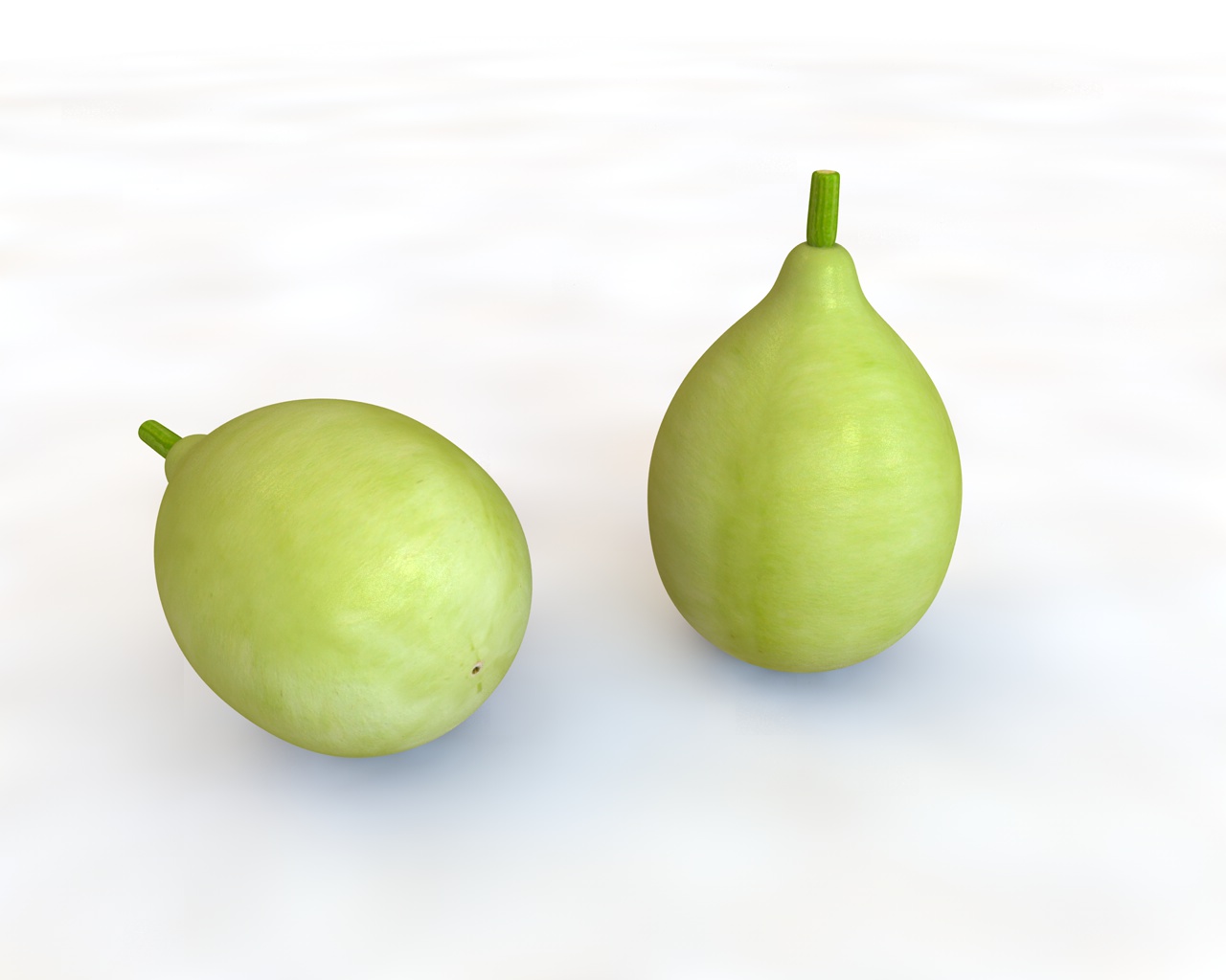 Round Gourd 3d model by TurboCG | 3DOcean