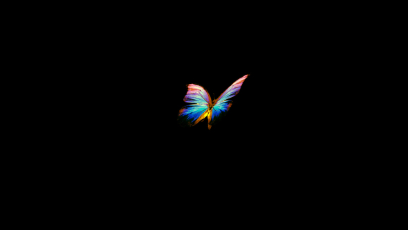 Rainbow Butterfly - Flying Loop - Alpha Channel, Motion Graphics ...
