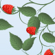 Raspberry, Vectors | GraphicRiver