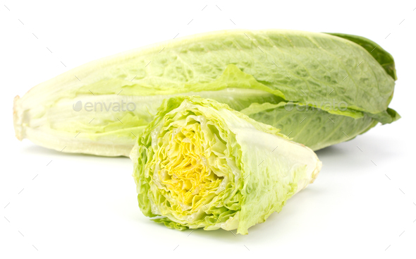 Fresh roman lettuce isolated on white background Stock Photo by emartsstudio