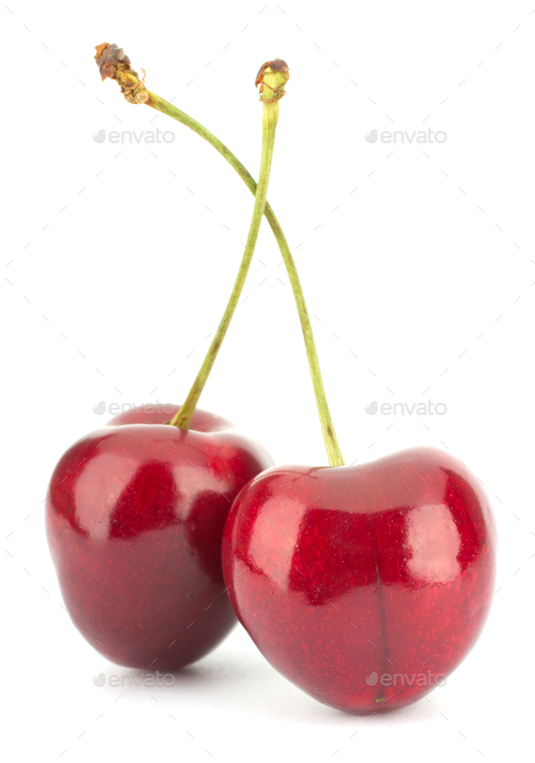 Cherry isolated on white background Stock Photo by emartsstudio | PhotoDune