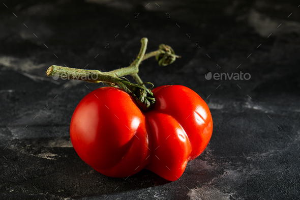 Deformed mutant tomato Stock Photo by foodphotoalex | PhotoDune
