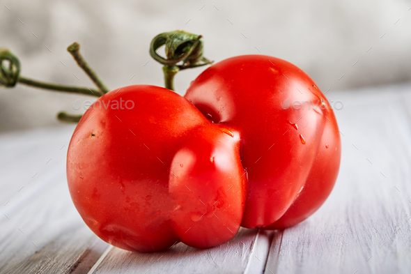 Deformed mutant tomato Stock Photo by foodphotoalex | PhotoDune