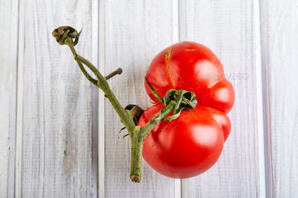 Deformed mutant tomato Stock Photo by foodphotoalex | PhotoDune