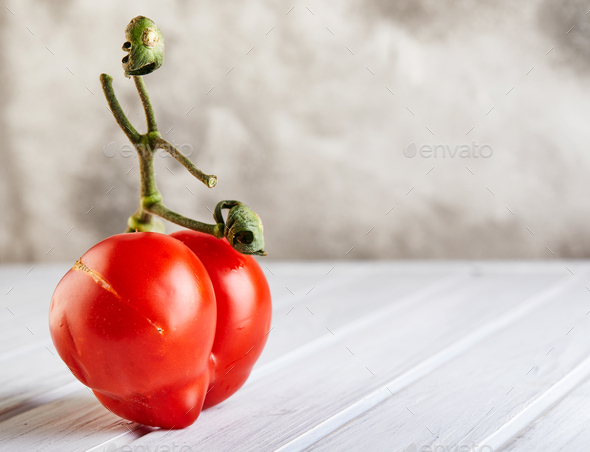 Deformed mutant tomato Stock Photo by foodphotoalex | PhotoDune