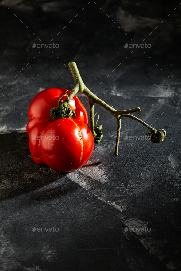 Deformed mutant tomato Stock Photo by foodphotoalex | PhotoDune