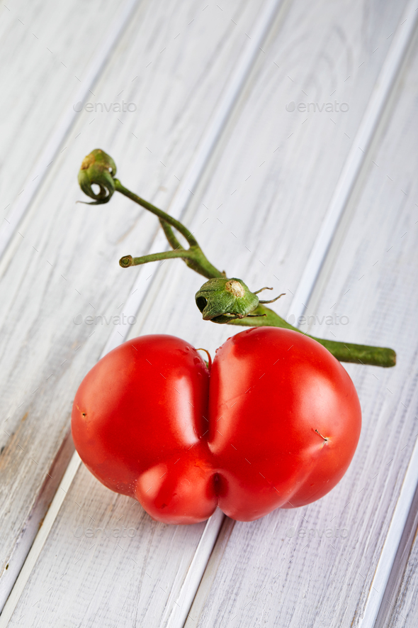 Deformed mutant tomato Stock Photo by foodphotoalex | PhotoDune