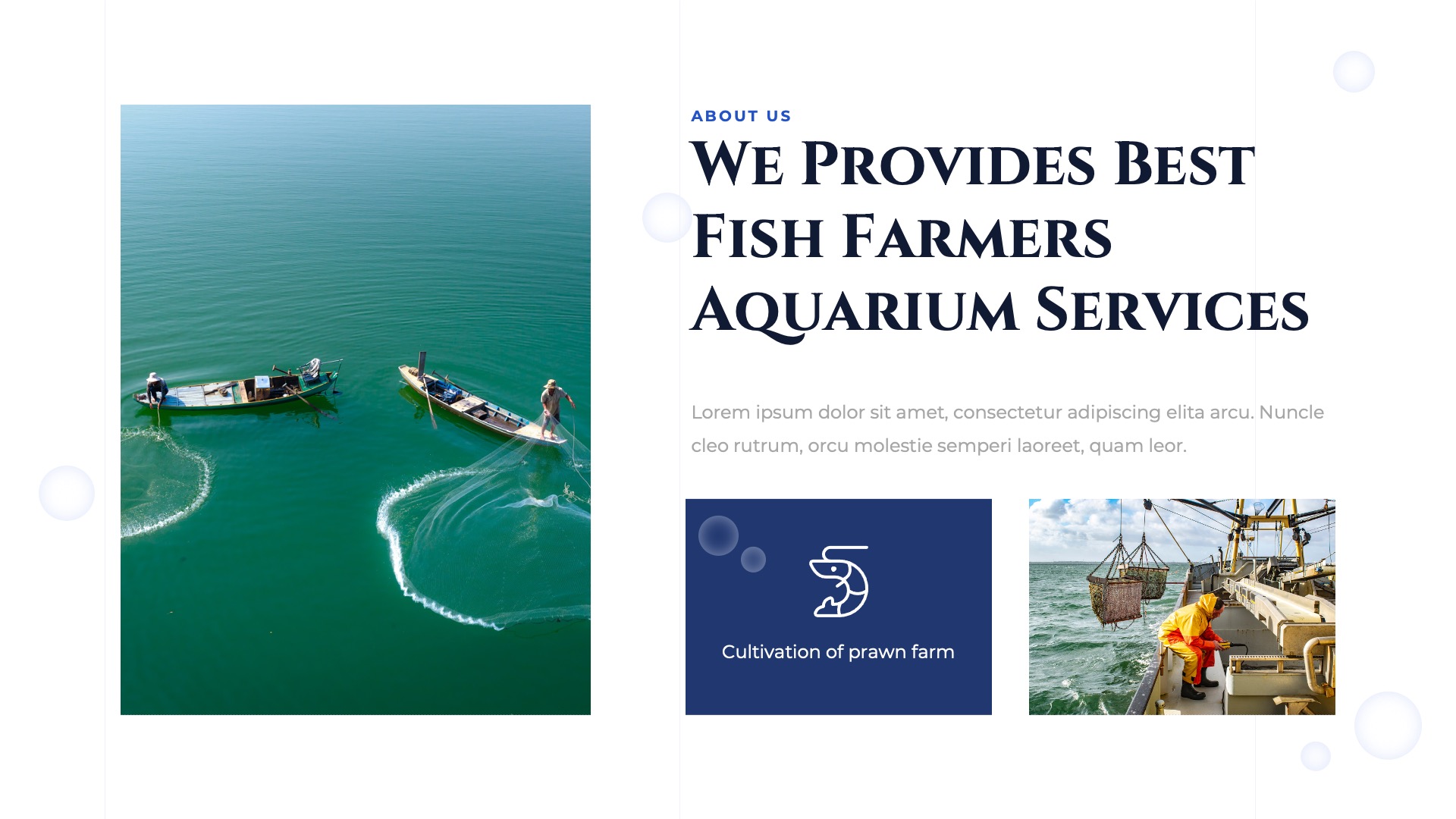 Fishqove - Aqua Farm & Fishery Powerpoint Template, Presentation Templates