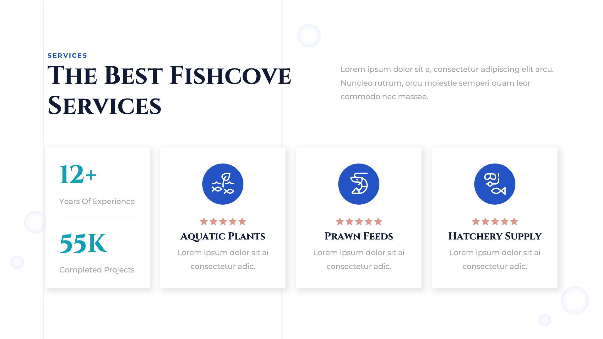 Fishqove - Aqua Farm & Fishery Powerpoint Template, Presentation Templates