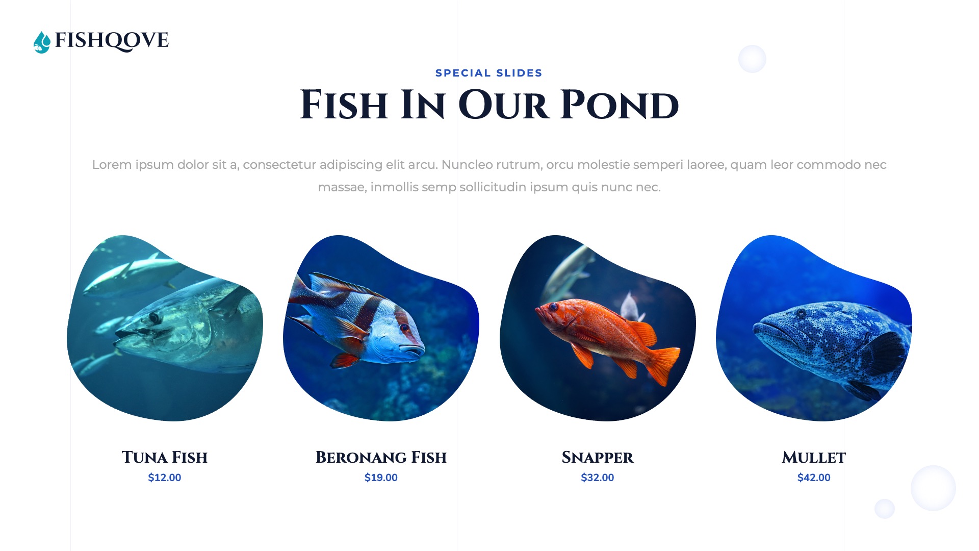 Fishqove - Aqua Farm & Fishery Powerpoint Template, Presentation Templates