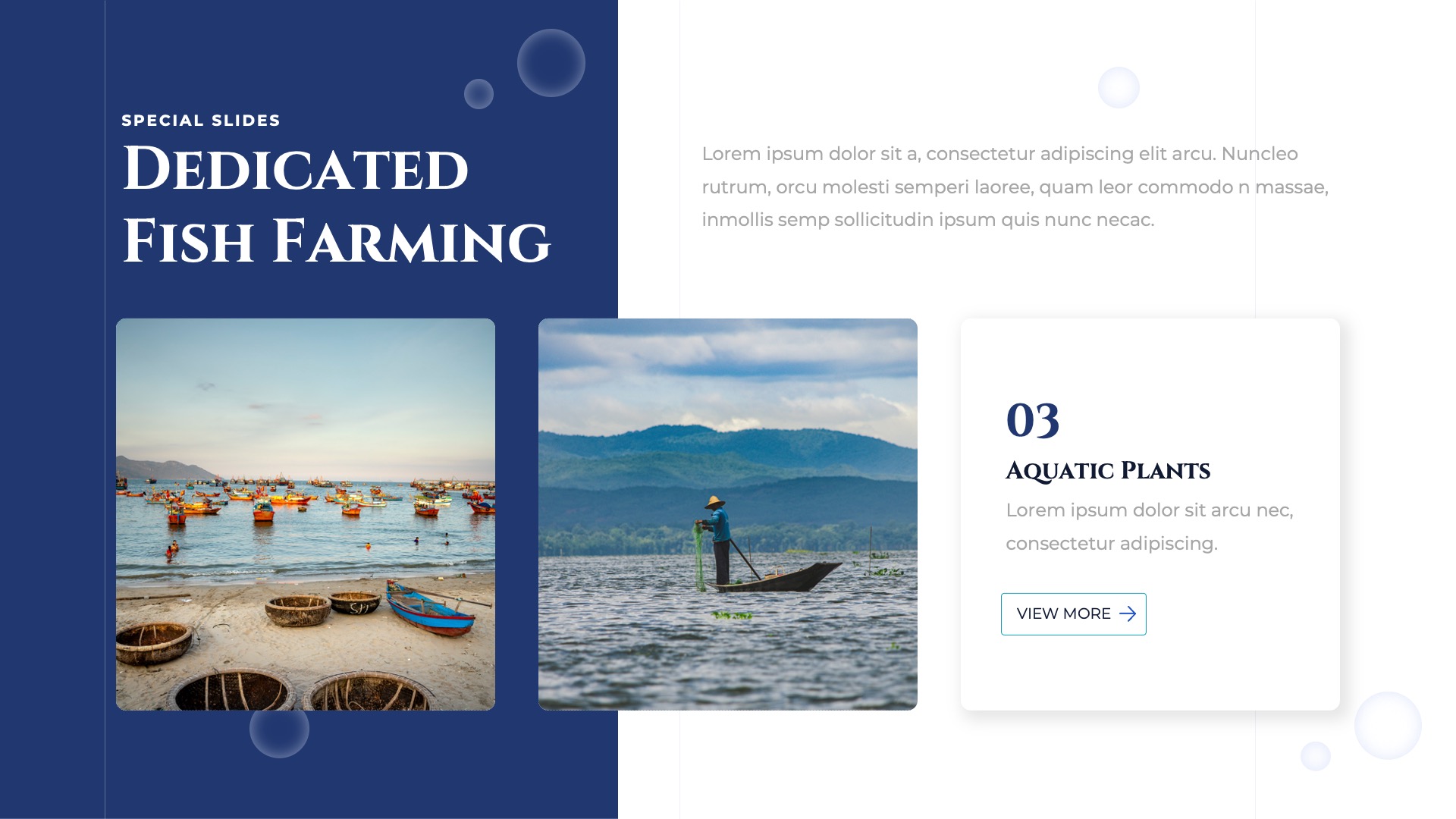 Fishqove - Aqua Farm & Fishery Powerpoint Template, Presentation Templates