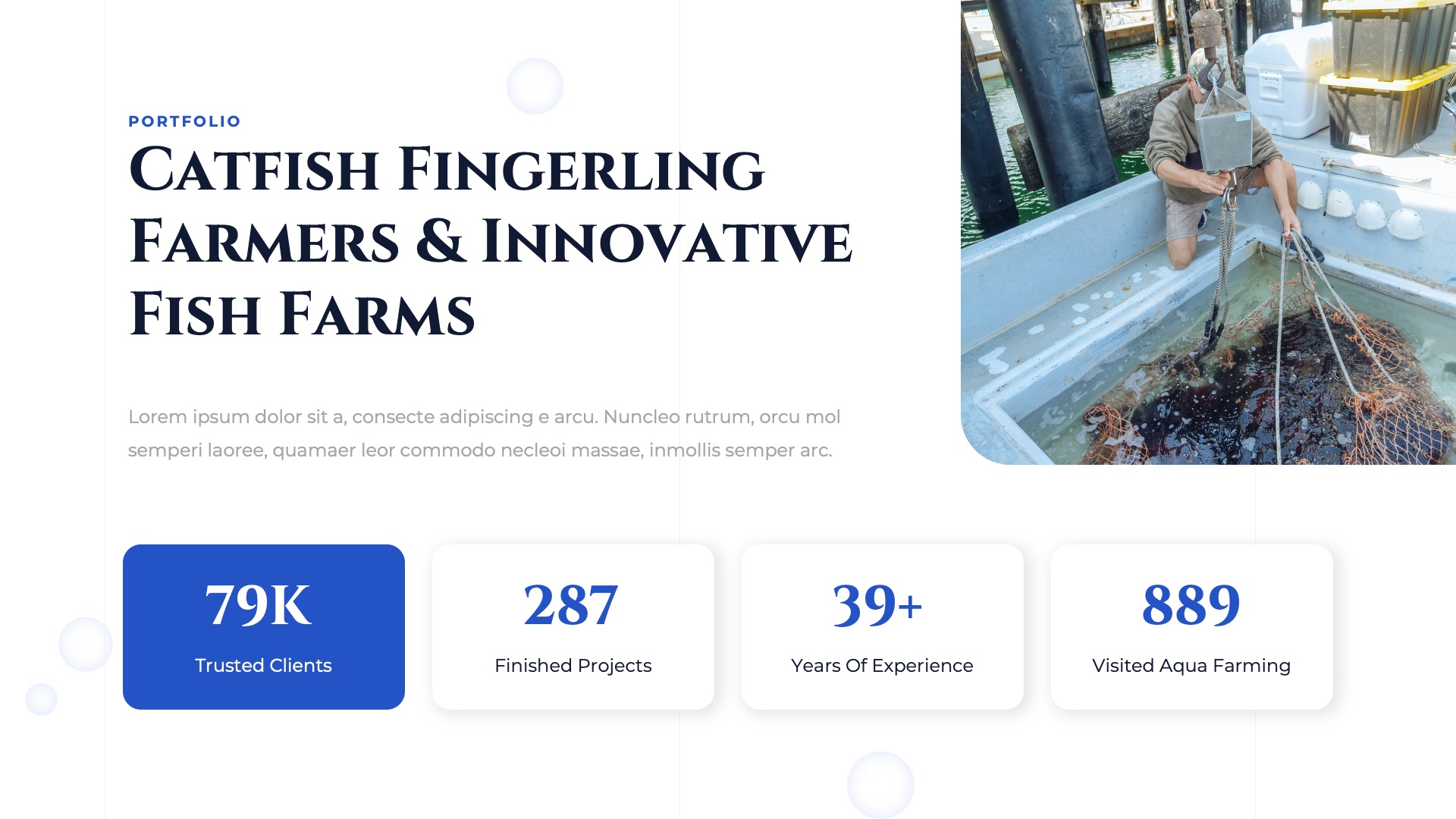 Fishqove - Aqua Farm & Fishery Powerpoint Template, Presentation Templates