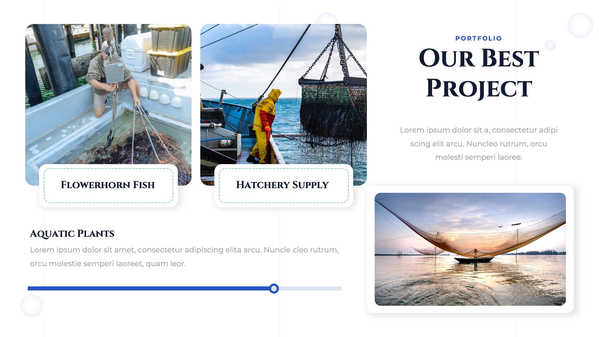 Fishqove - Aqua Farm & Fishery Powerpoint Template, Presentation Templates