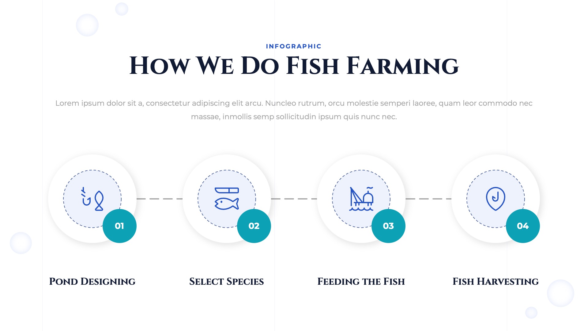 Fishqove - Aqua Farm & Fishery Powerpoint Template, Presentation Templates