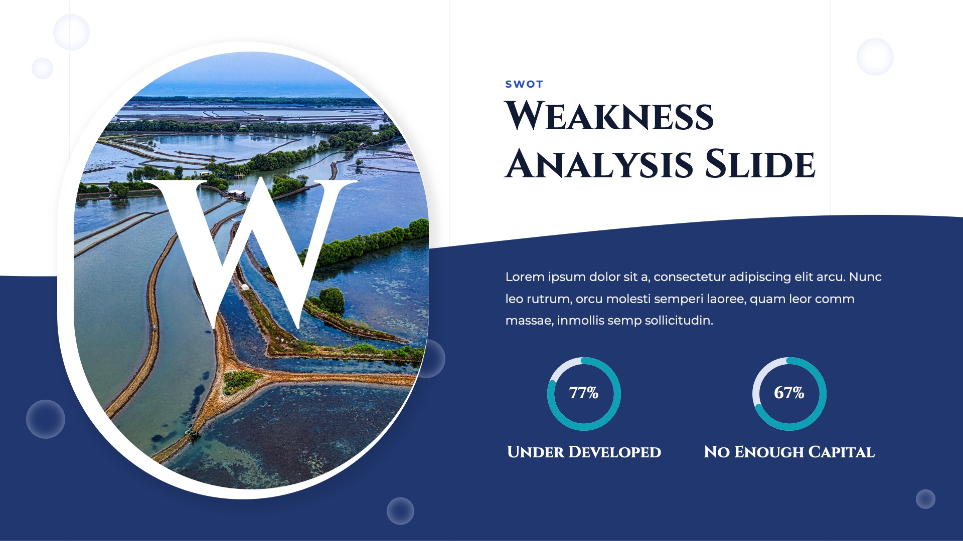 Fishqove - Aqua Farm & Fishery Powerpoint Template, Presentation Templates