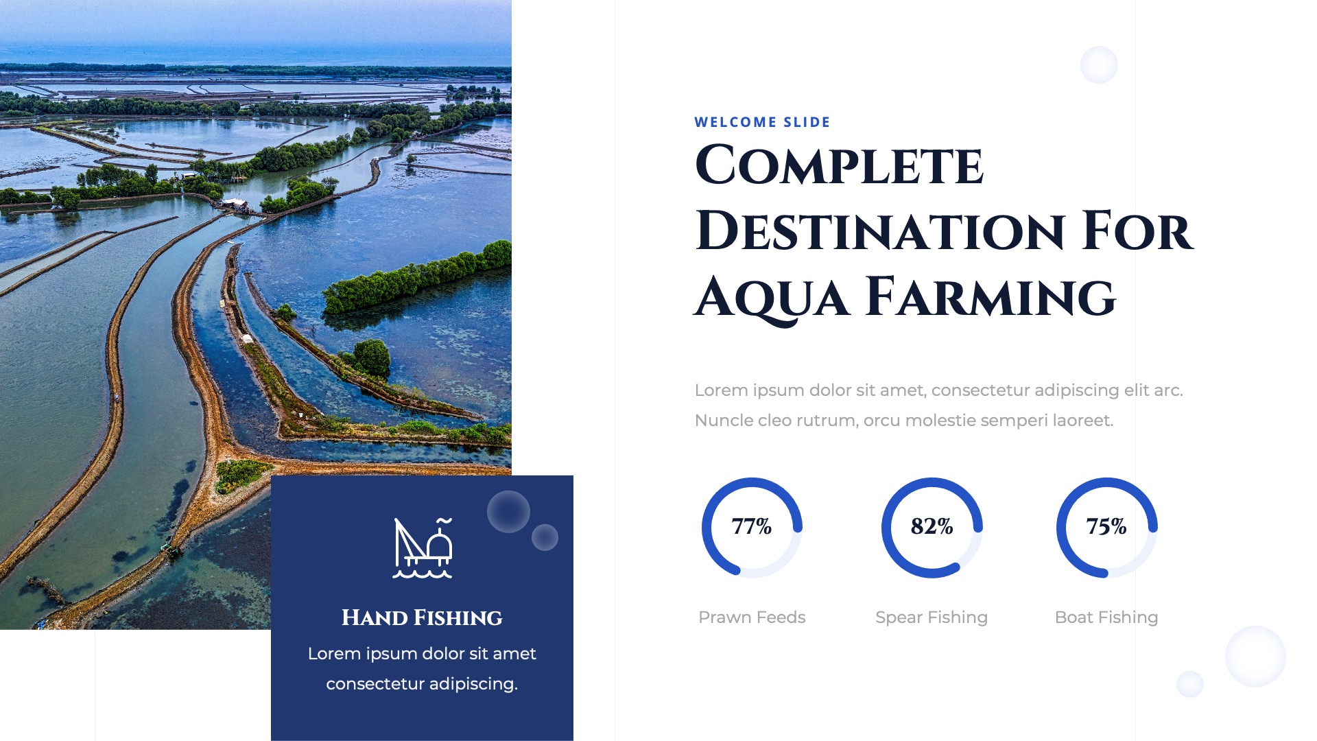 Fishqove - Aqua Farm & Fishery Powerpoint Template, Presentation Templates