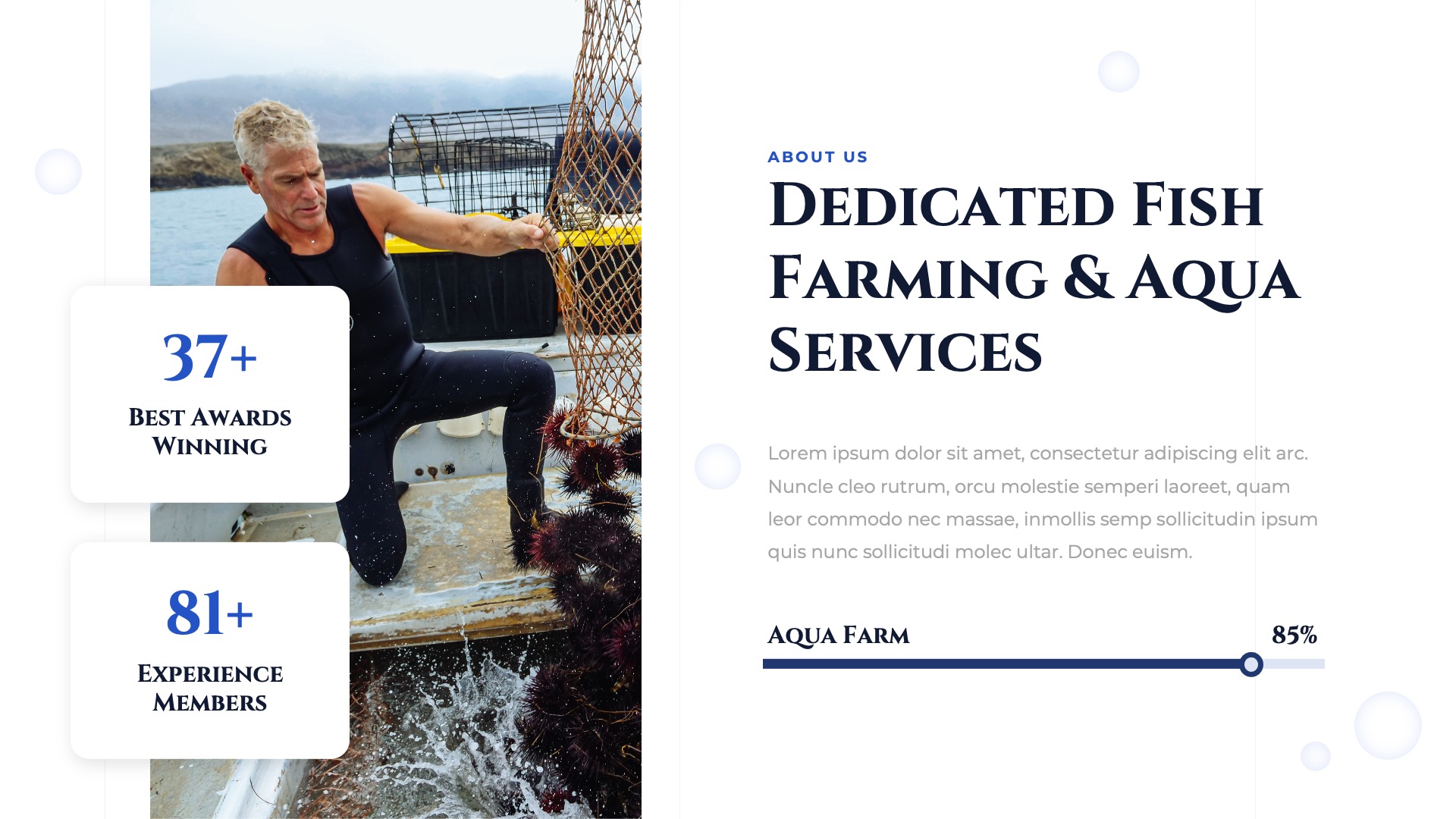 Fishqove - Aqua Farm & Fishery Powerpoint Template, Presentation Templates