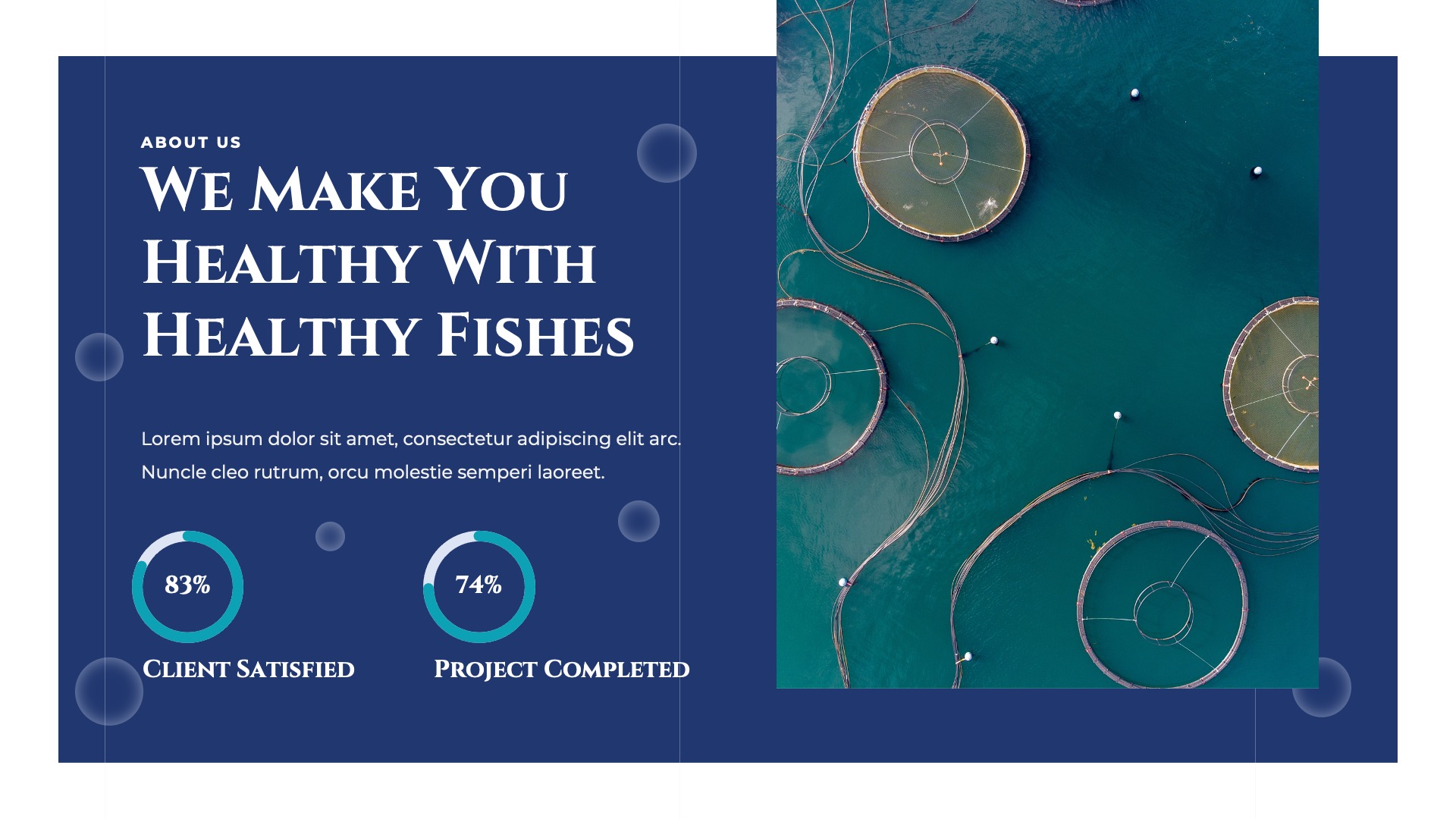 Fishqove - Aqua Farm & Fishery Powerpoint Template, Presentation Templates