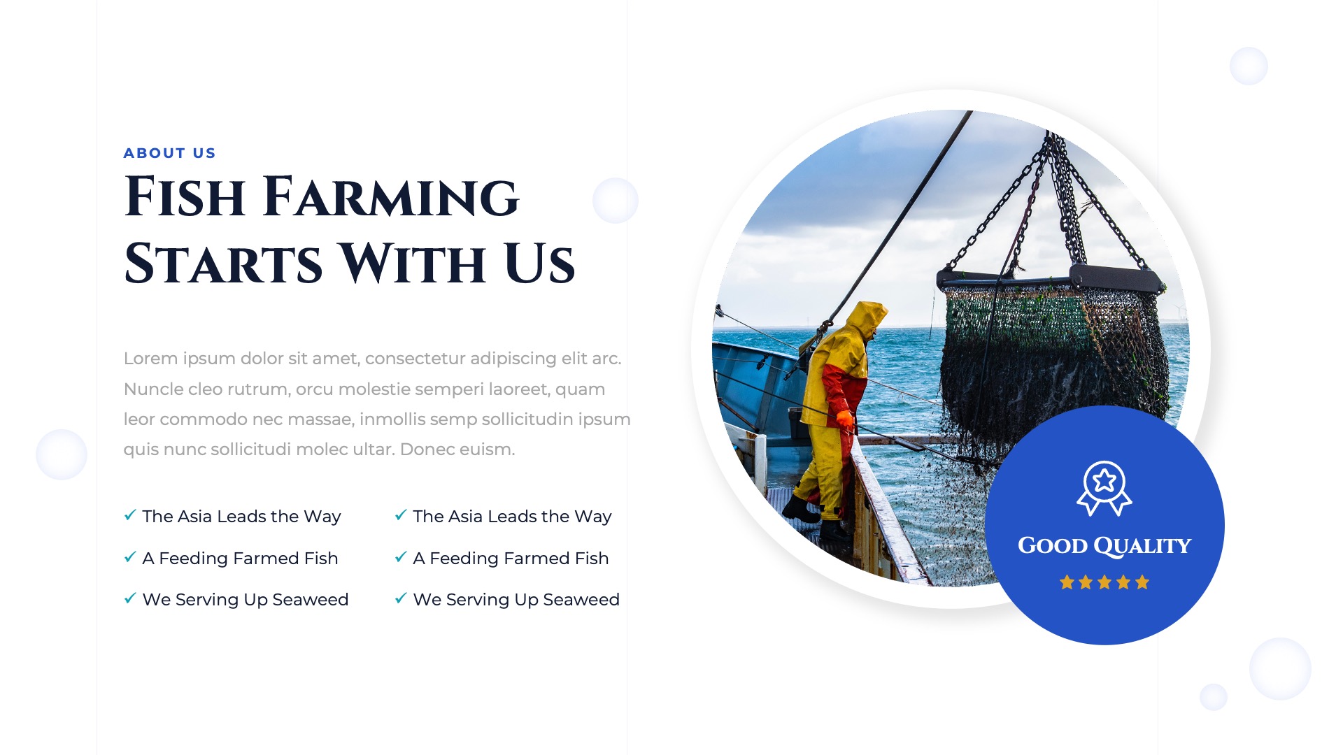 Fishqove - Aqua Farm & Fishery Powerpoint Template, Presentation Templates
