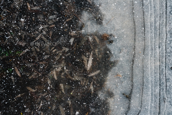 Snow falling on ground Stock Photo by ADDICTIVE_STOCK | PhotoDune