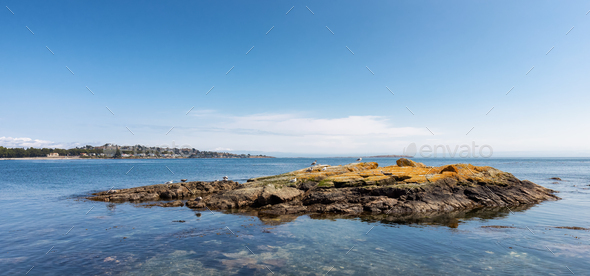 View of Rocky shore with birds at a modern city park, Clover Point ...