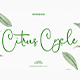 Citrus Cycle Script Font, Fonts | GraphicRiver
