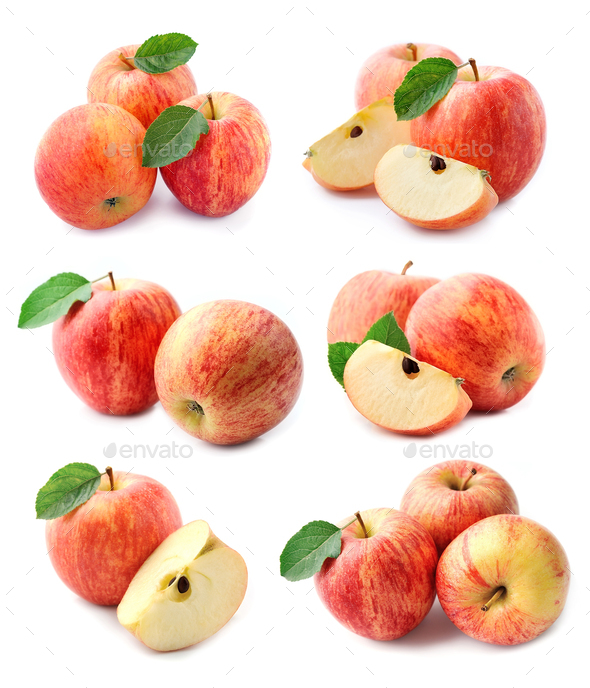 Set of apples Stock Photo by vmariia | PhotoDune