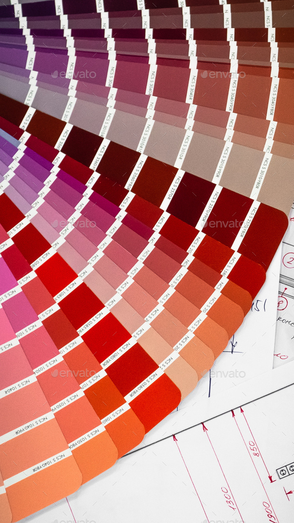 38f7b70f-9f95-498f-a64f-6d2178a9bcf6 Stock Photo by StiahailoAnastasiia