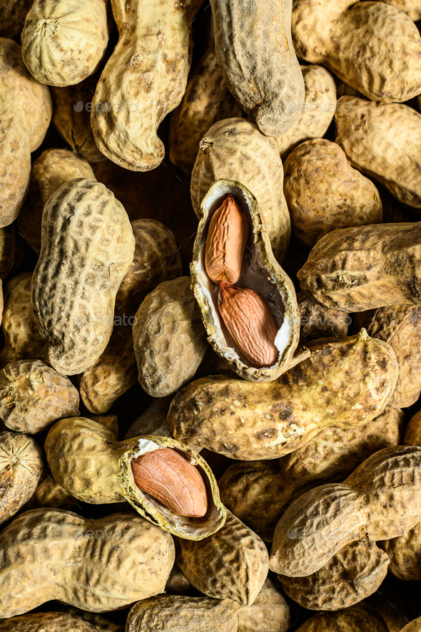 Raw unshelled peanuts in the shell. Organic groundnut. Black background ...