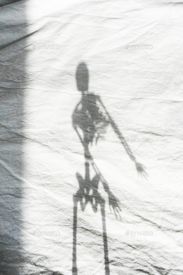 Skeleton Shadow on Light Background. Stock Photo by zhenny-zhenny ...
