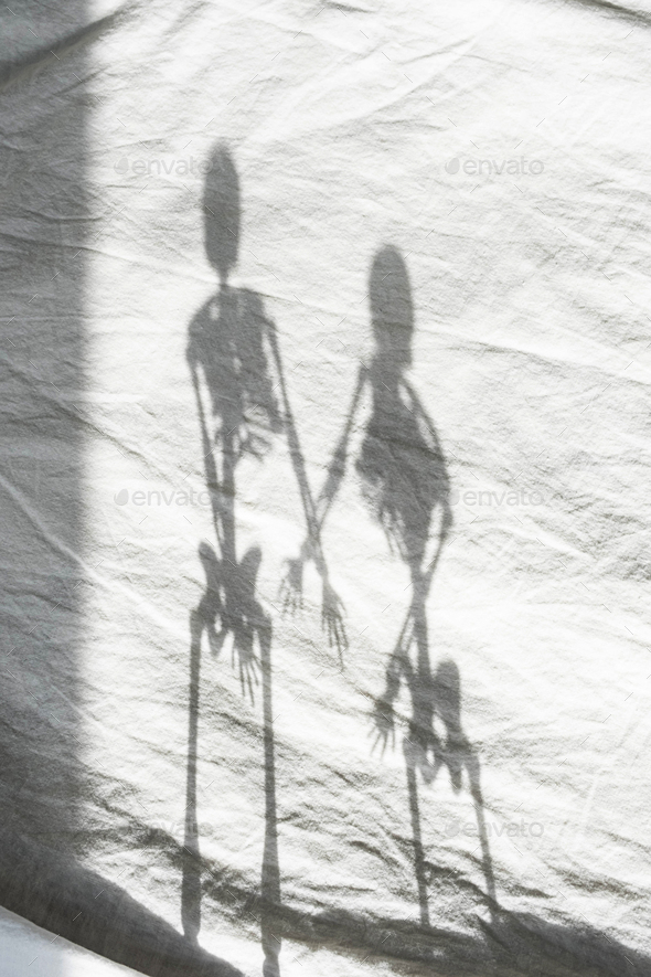 Skeleton Shadow on Light Background. Stock Photo by zhenny-zhenny ...