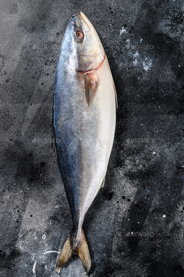 Fresh whole raw Japanese yellowtail. Fish Amberjack. Black background ...