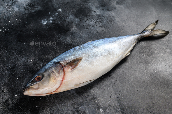 Raw Japanese yellowtail. Fresh Fish Amberjack. Black background. Top ...