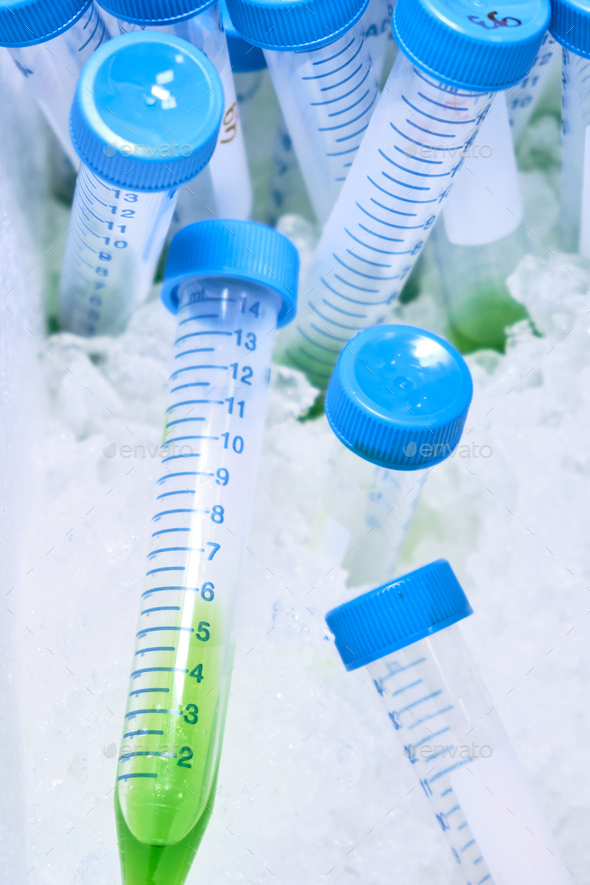 Plastic falcone test tubes with green liquid keep in the ice. Sample ...