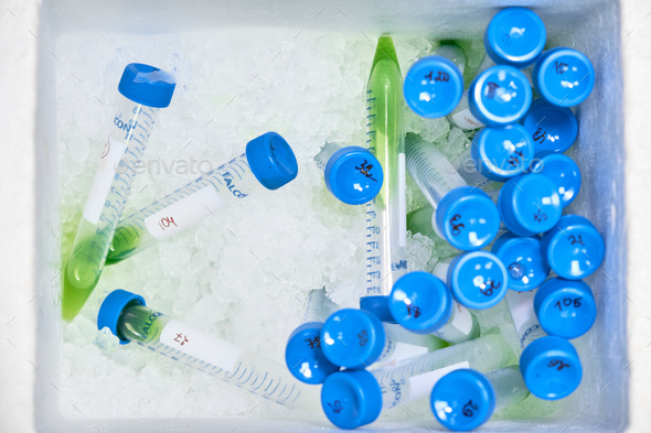 Plastic falcone test tubes with green liquid keep in the ice. Sample ...
