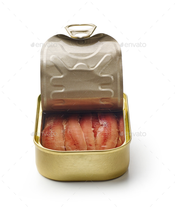 canned anchovy fillets Stock Photo by magone | PhotoDune