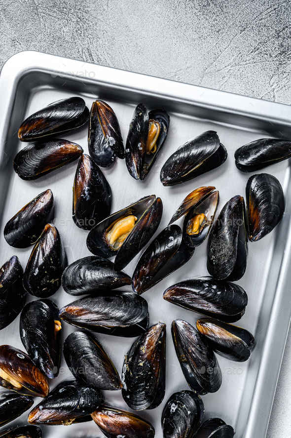 Seafood fresh blue mussels in kitchen steel tray. White background. Top ...