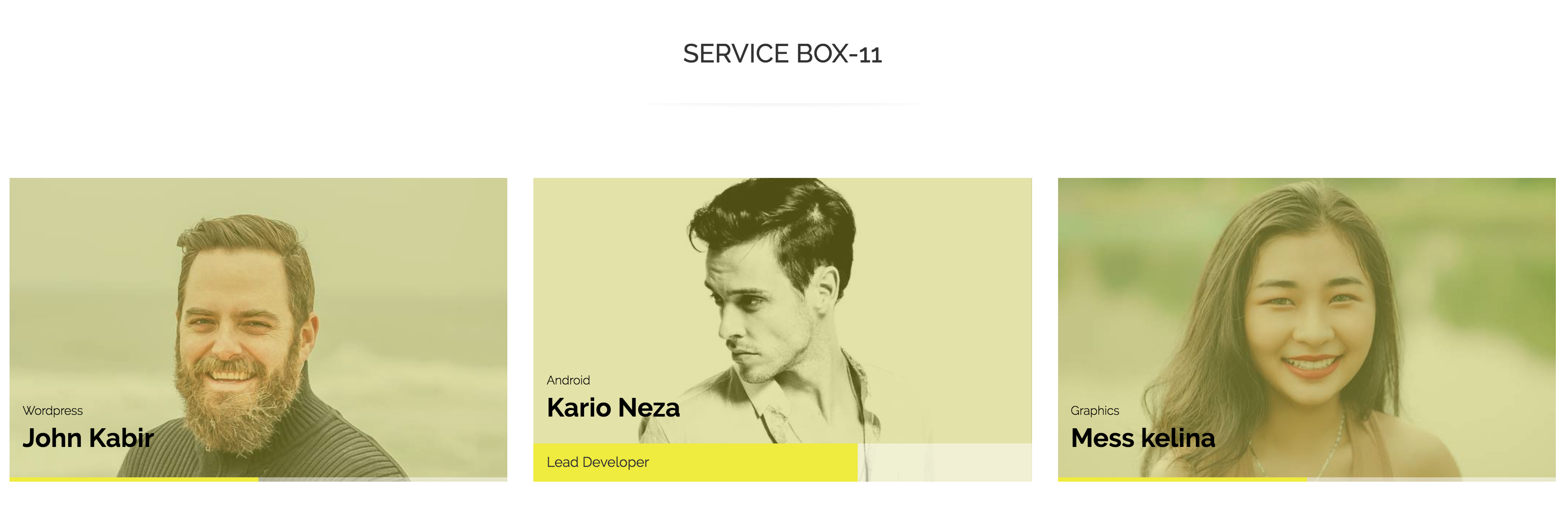 Interactive Service Add On With Hover Effects For Wpbakery By Pixelsigns