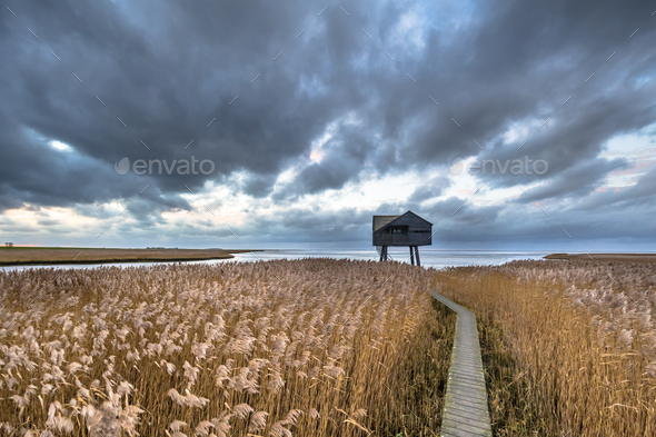 Wooden walkway through tidal marsh Stock Photo by CreativeNature_nl