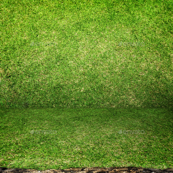 Perspective Grass room with soil ground Background Stock Photo by ...