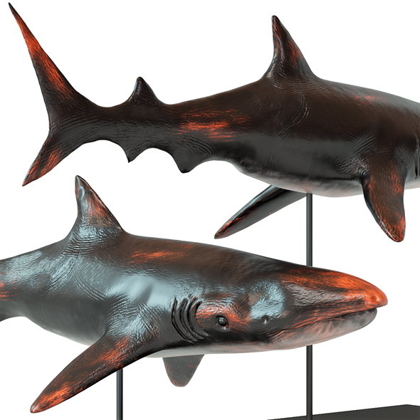 Deco Figurine Shark Base by sheff220 | 3DOcean