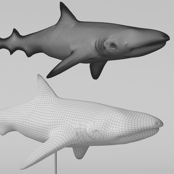 Deco Figurine Shark Base by sheff220 | 3DOcean