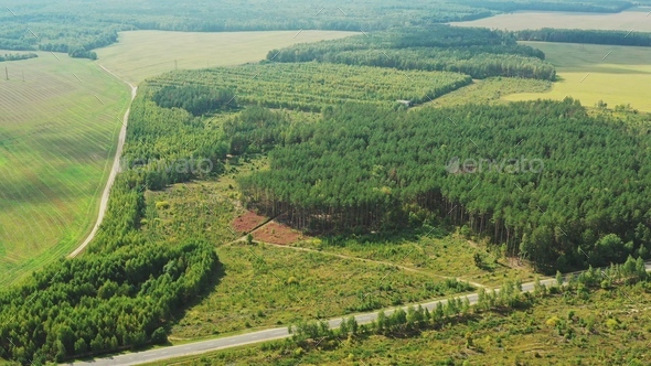 Aerial View Of Green Forest Landscape With Forest Graveyard ...