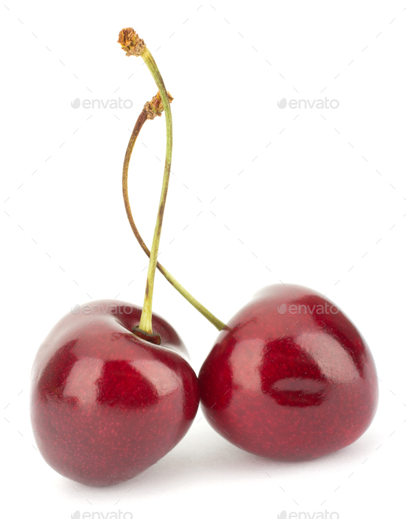 Cherry isolated on white background Stock Photo by emartsstudio | PhotoDune