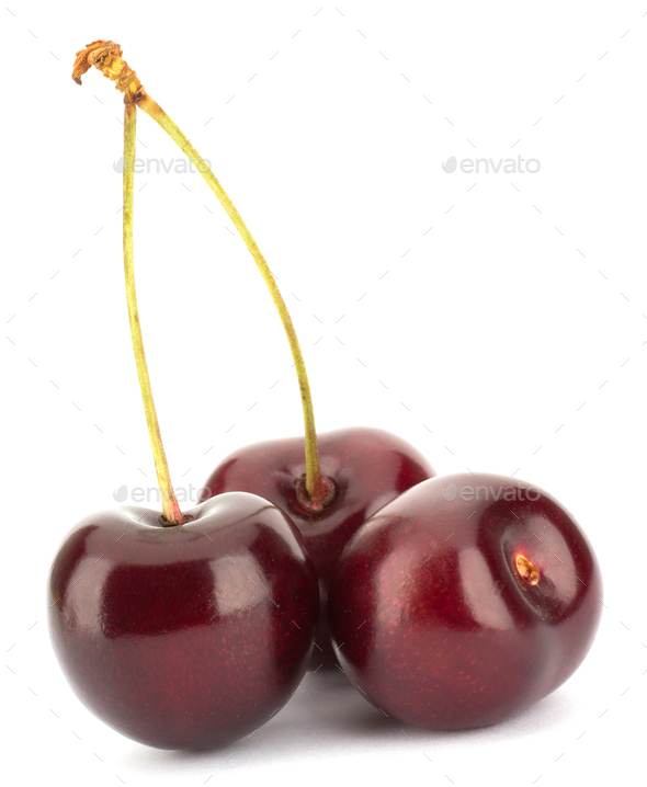 Cherry isolated on white background Stock Photo by emartsstudio | PhotoDune