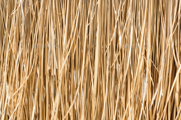Close up yellow straw wall texture background Stock Photo by Weedezign ...