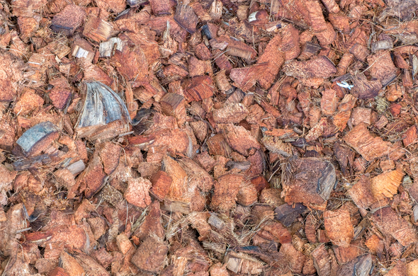 Dry waste coconut shell texture background Stock Photo by Weedezign_photo