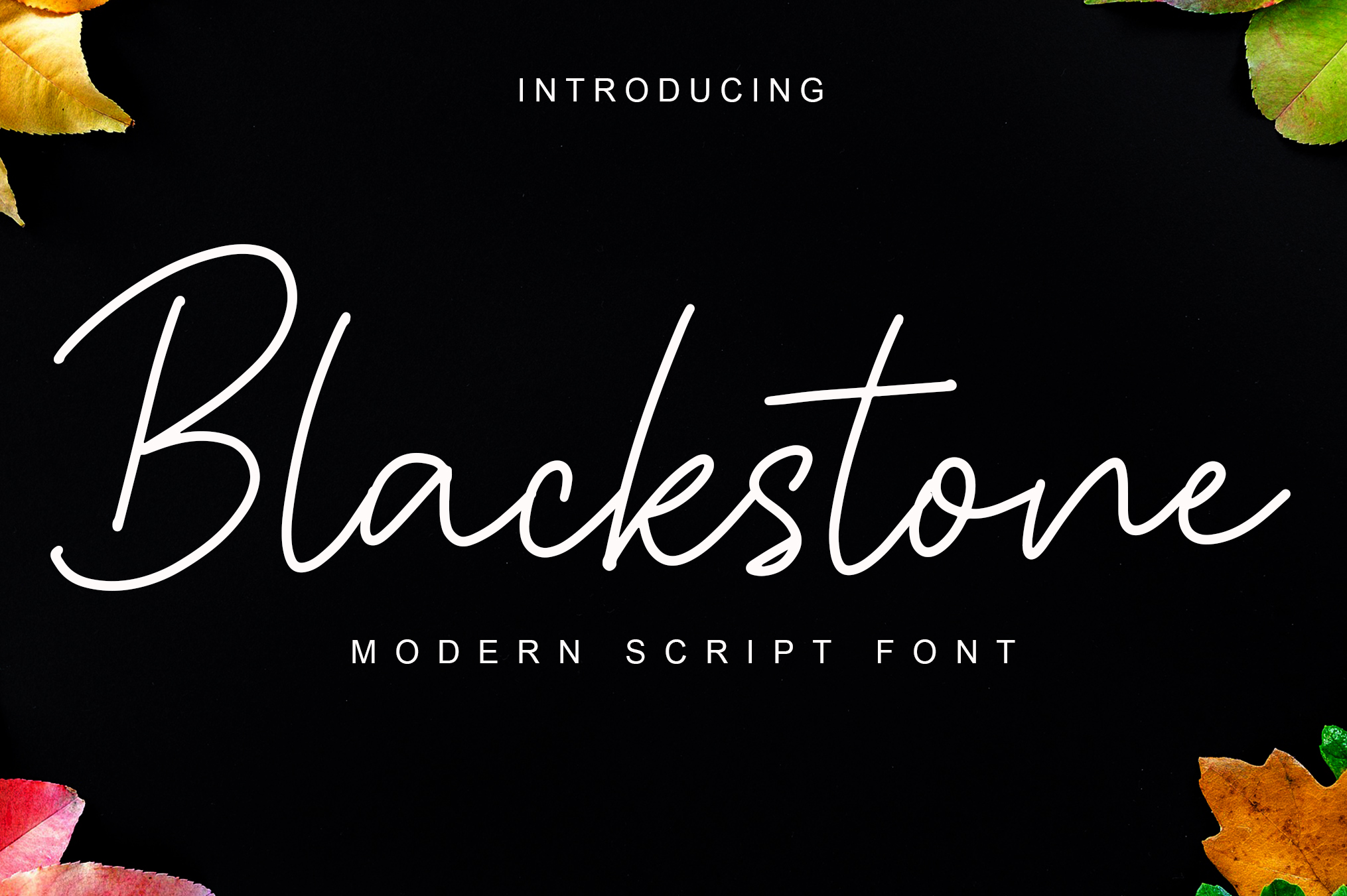 Blackstone, Fonts | GraphicRiver