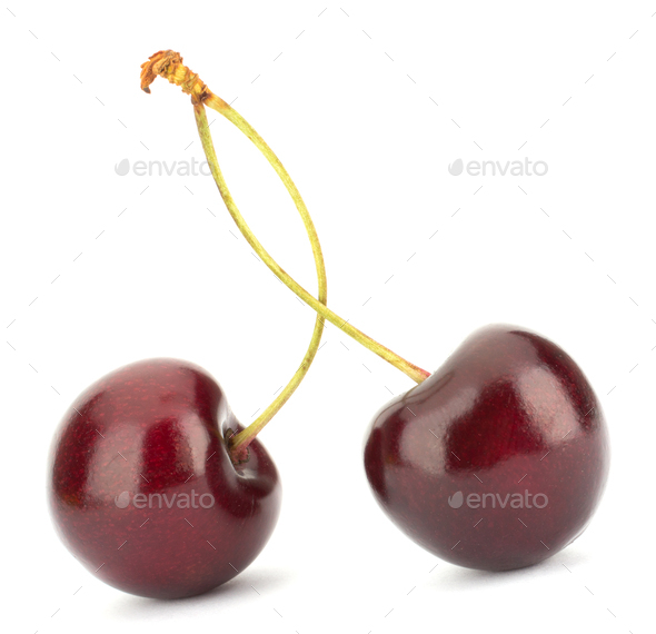 Cherry isolated on white background Stock Photo by emartsstudio | PhotoDune