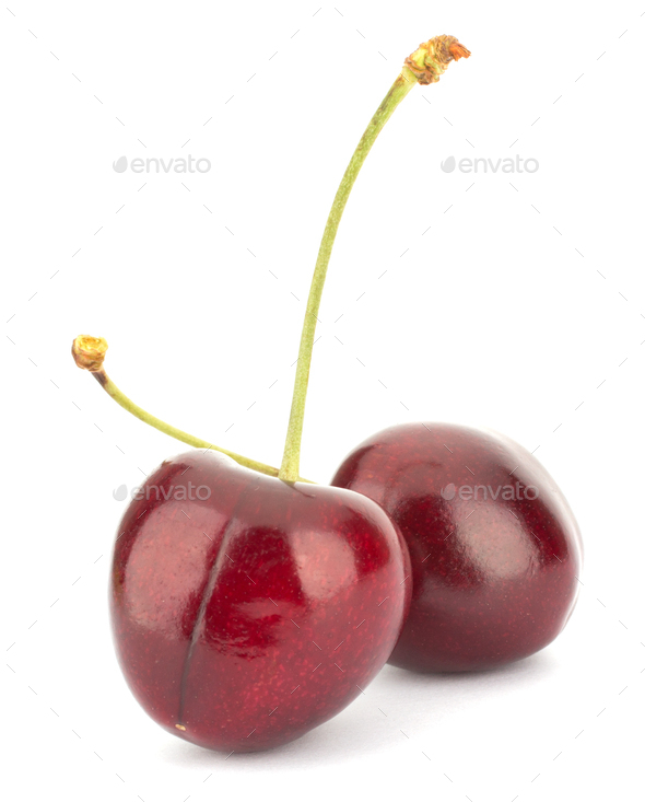 Cherry isolated on white background Stock Photo by emartsstudio | PhotoDune
